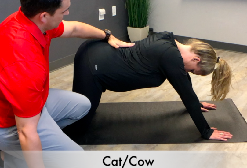 The Ultimate Spinal Stretching Guide! - Active Life Chiropractic